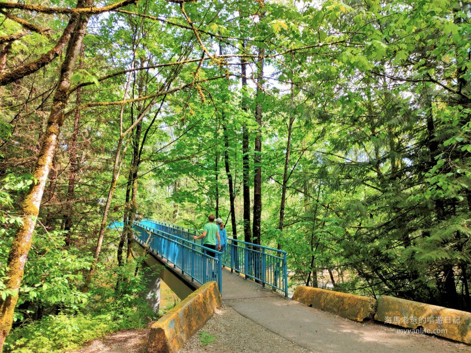 溫哥華旅遊｜春天的河邊步道 Coquitlam River Trail – 溫市笑應